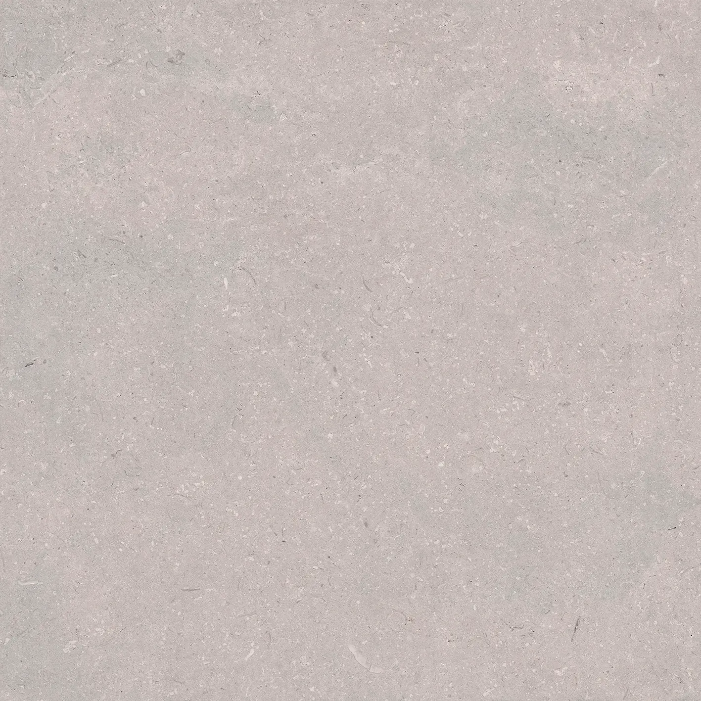 Porcelanosa Coral Acero 59,6x59,6 [mat] - Sklep internetowy Stemar